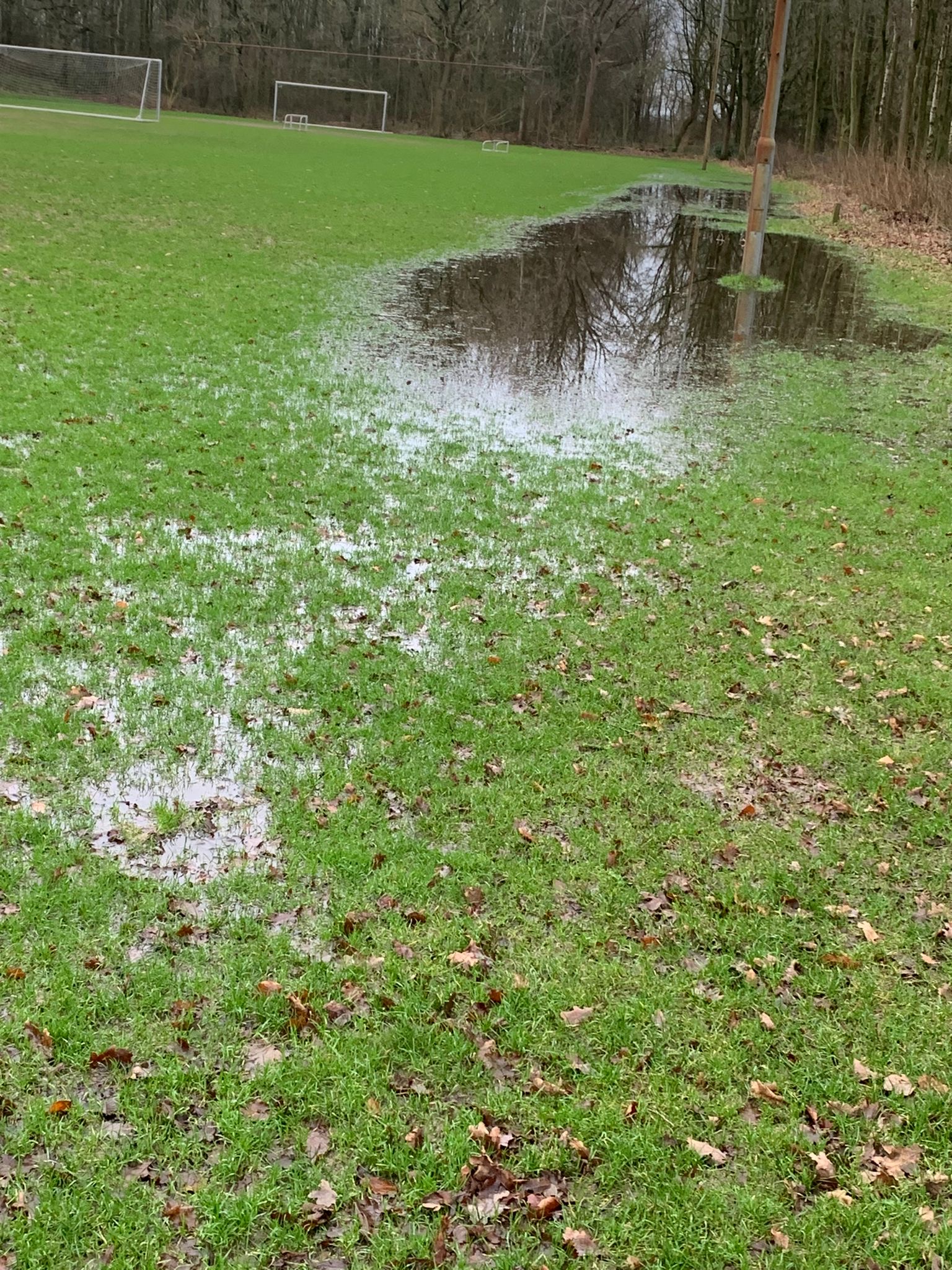 Kom (veld)trainen en neem zwemkleding mee! | VV Dalen