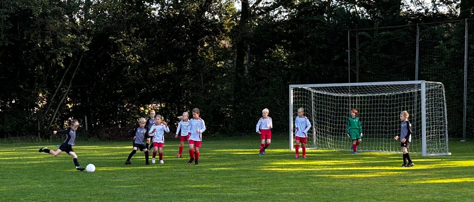 Speelplezier en werklust bij JO 9-3 | VV Dalen